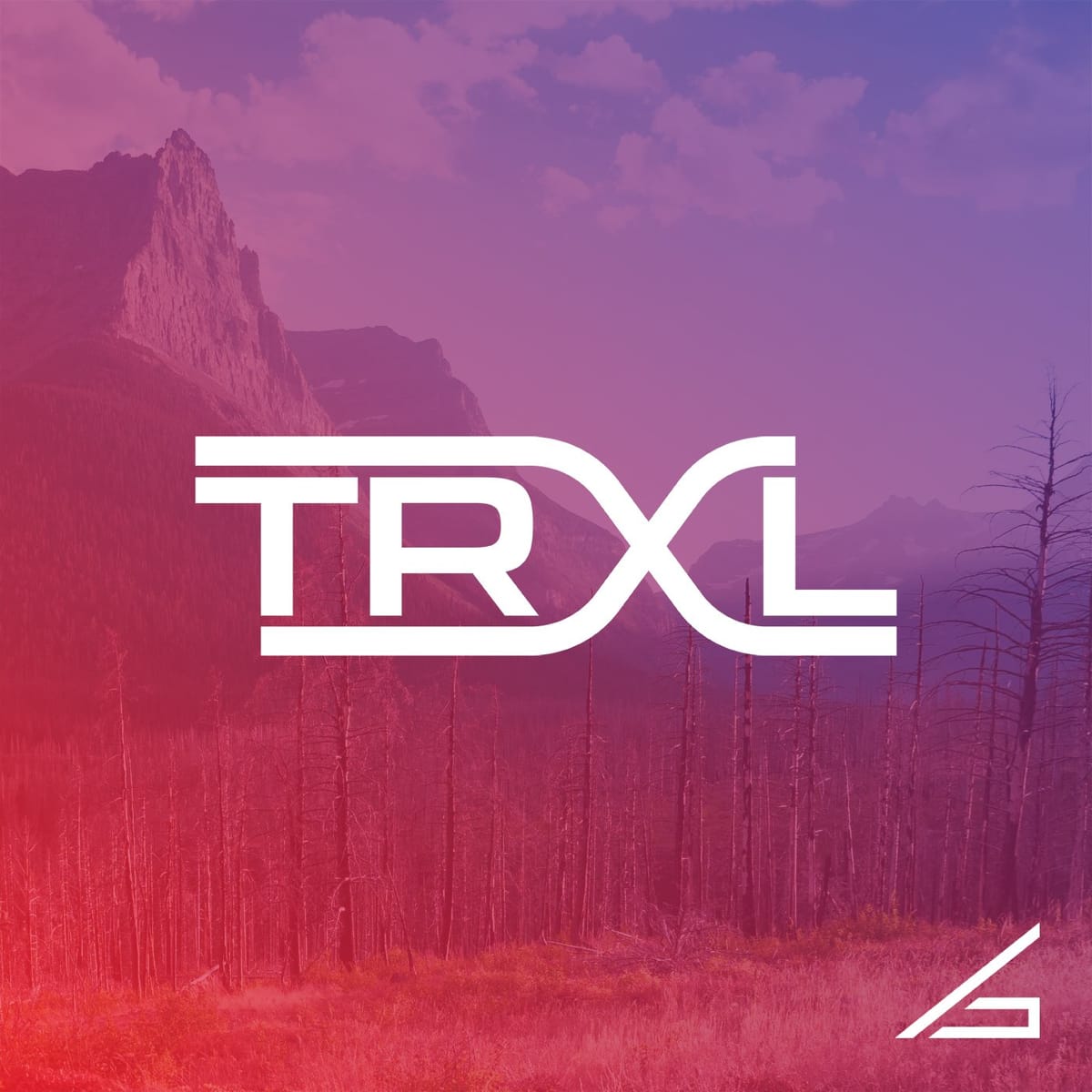 107: ‘Quasi-Irreversible Investment’, with Anthony Frausto-Robledo — TRXL